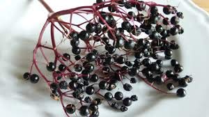 delicious elderberry jelly for snacks