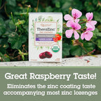 delicious elderberry lozenges for kids