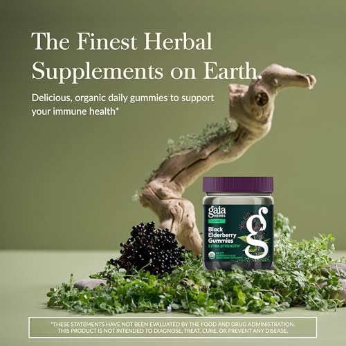 delicious elderberry supplement for kids