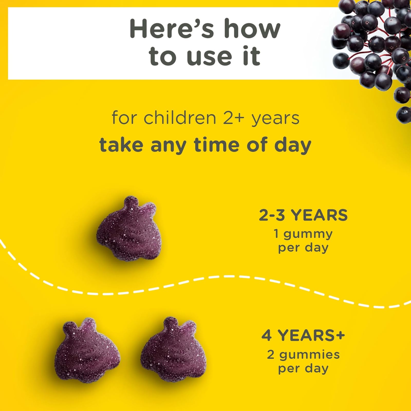 delicious elderberry syrup alternative