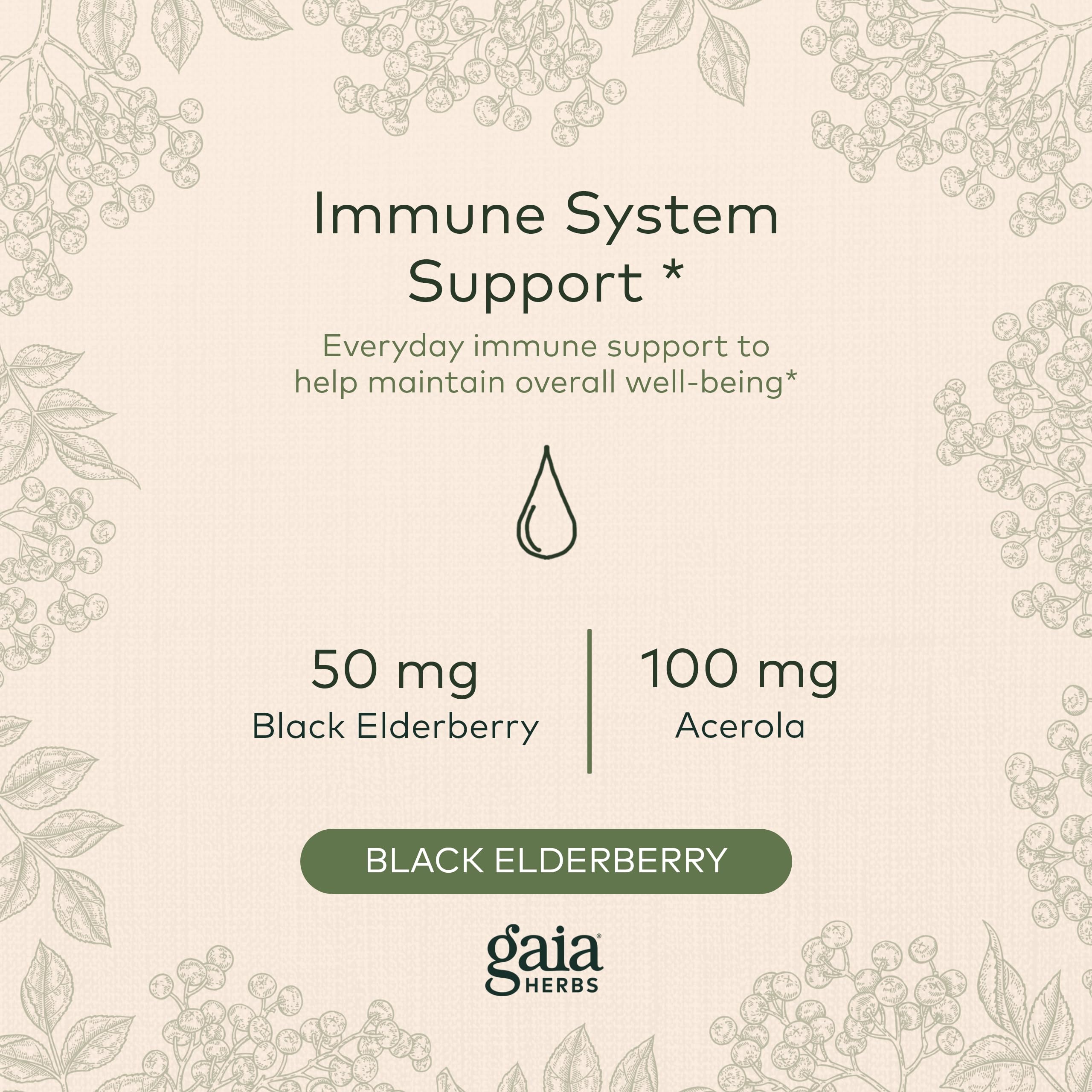 delicious elderberry syrup for daily use