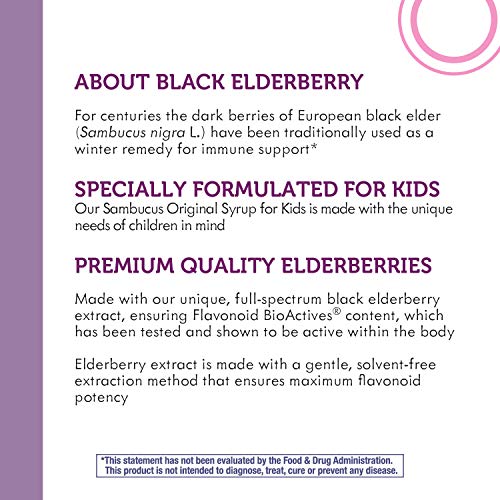 delicious elderberry syrup for family health