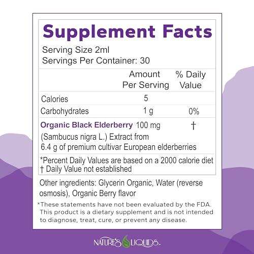 delicious elderberry syrup for family health