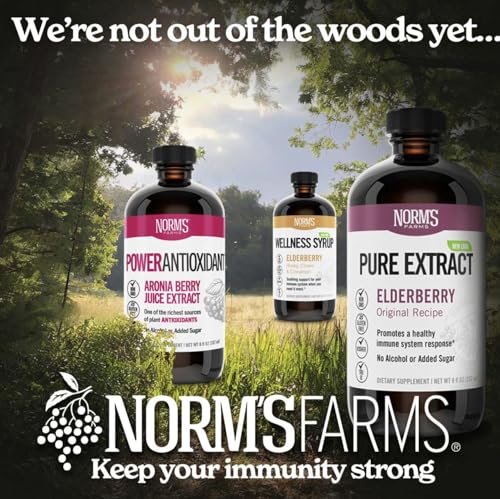 delicious elderberry syrup for kids