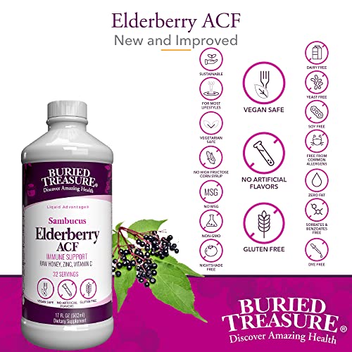 delicious elderberry syrup for kids