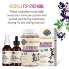 delicious elderberry syrup for kids