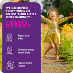 delicious elderberry syrup for kids