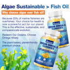 delicious fish oil gummies for kids
