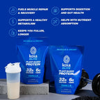 delicious flavours of protein powder