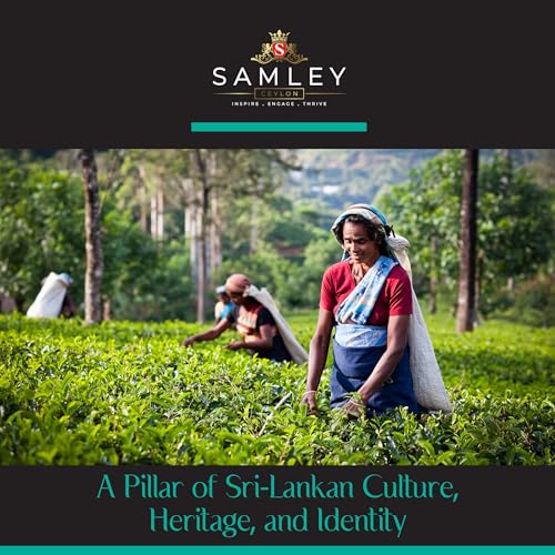 delicious green tea varieties