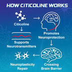 Delicious gummies for cognitive support
