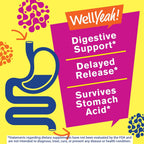 delicious gummies for gut health