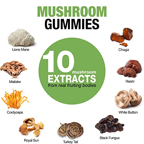 Delicious gummies with 10 mushroom extracts