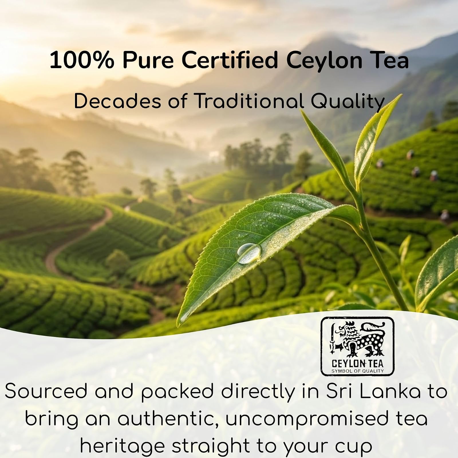 Delicious herbal detox tea experience