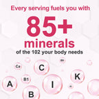 delicious honey sticks for wellness