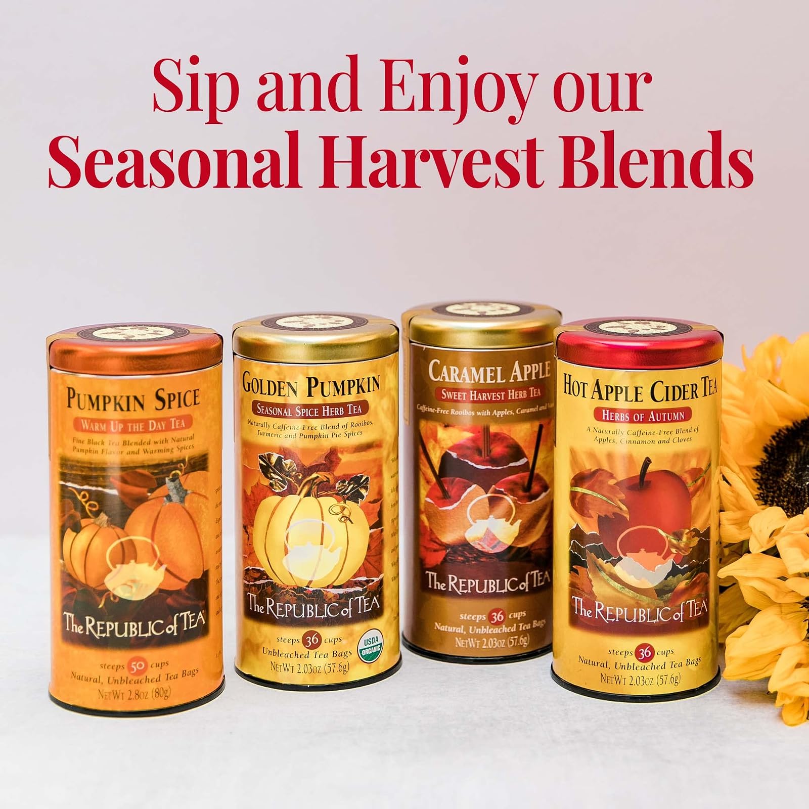 delicious hot apple cider infusion