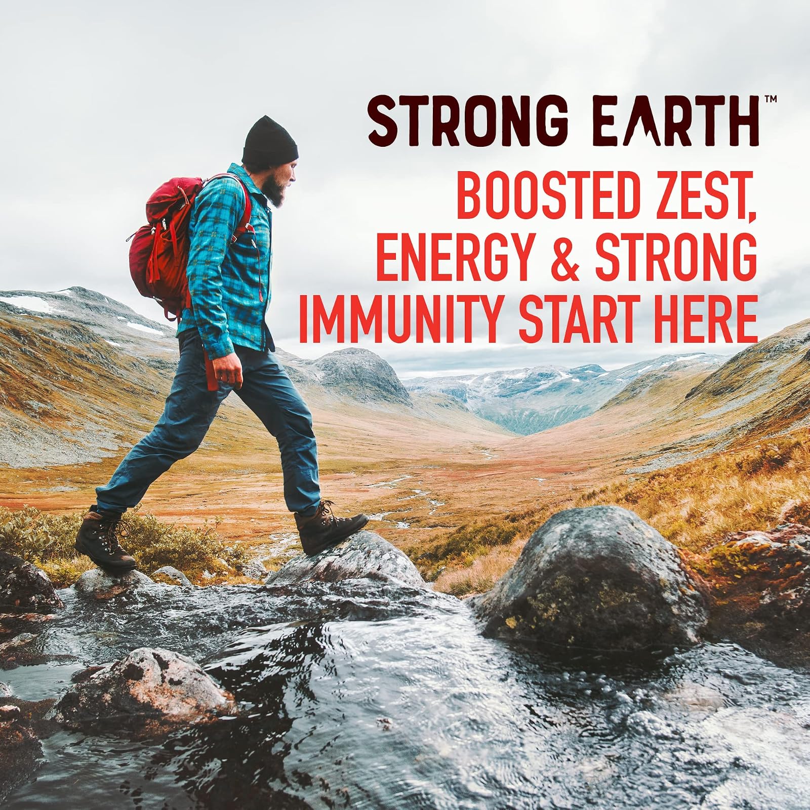 delicious iron supplement for everyday use
