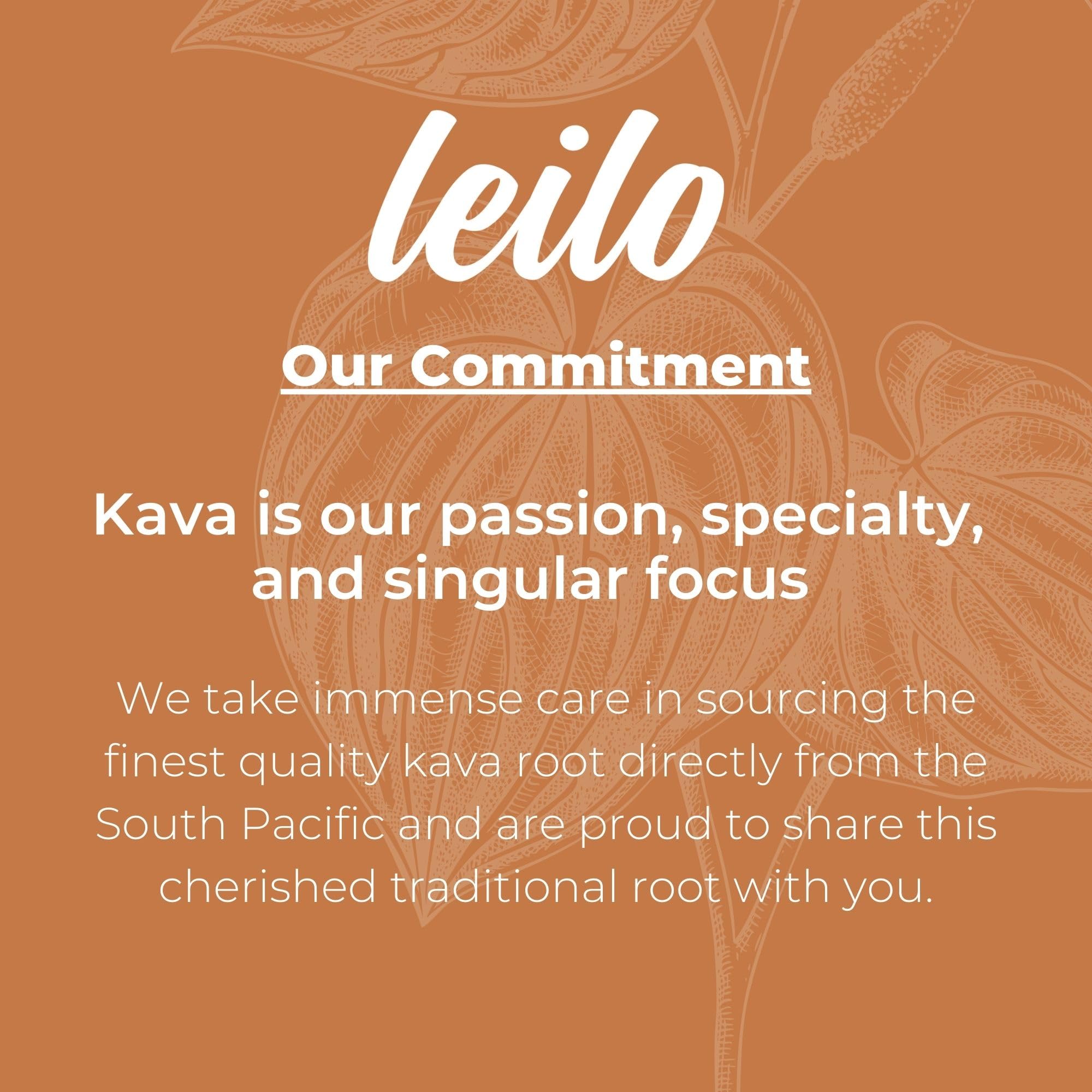 delicious kava kava beverage choice