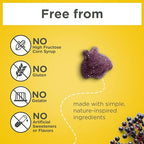 delicious kids elderberry gummies for health