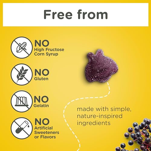 delicious kids elderberry gummies for health