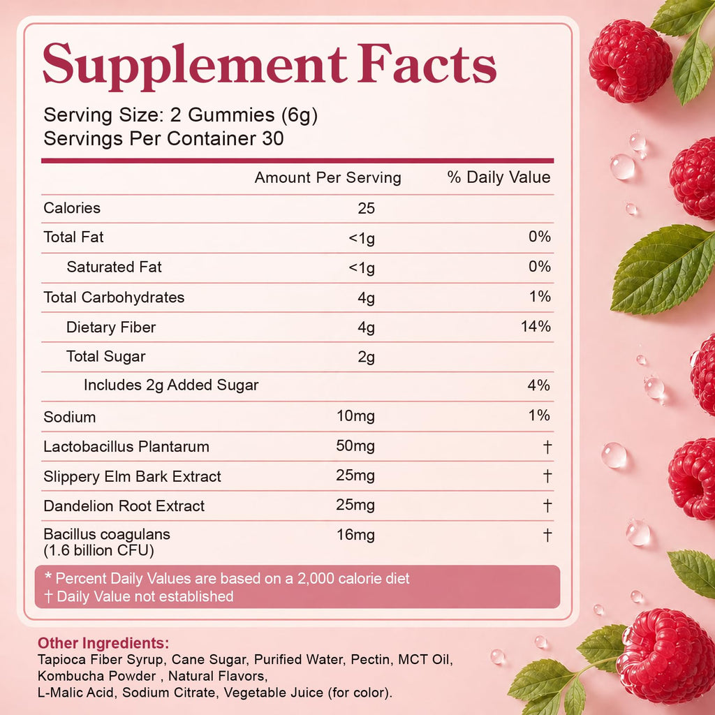 Delicious kombucha gummies for gut health