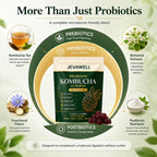 Delicious kombucha gummies for wellness