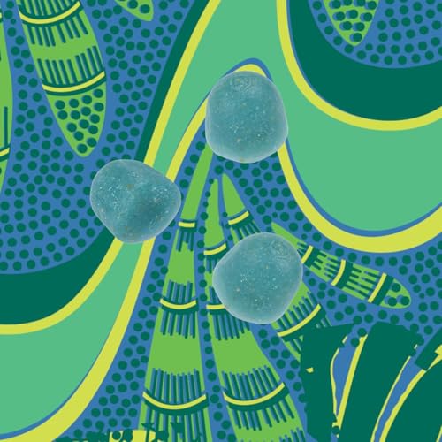 Delicious Kuli Kuli gummies for daily nutrition
