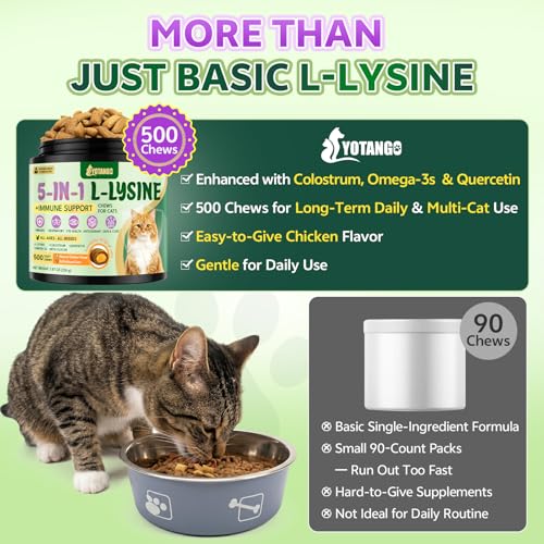 Delicious L-Lysine chews for pets