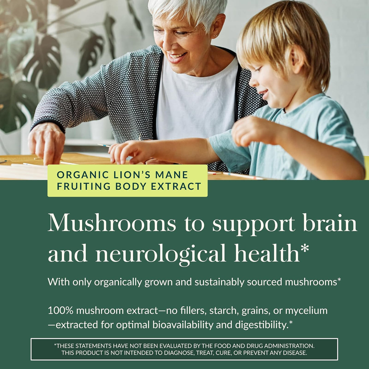 delicious lion's mane gummies for cognitive support