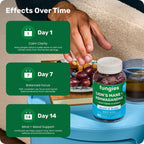 Delicious Lion's Mane gummies for wellness