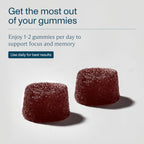 delicious lion's mane gummy treats