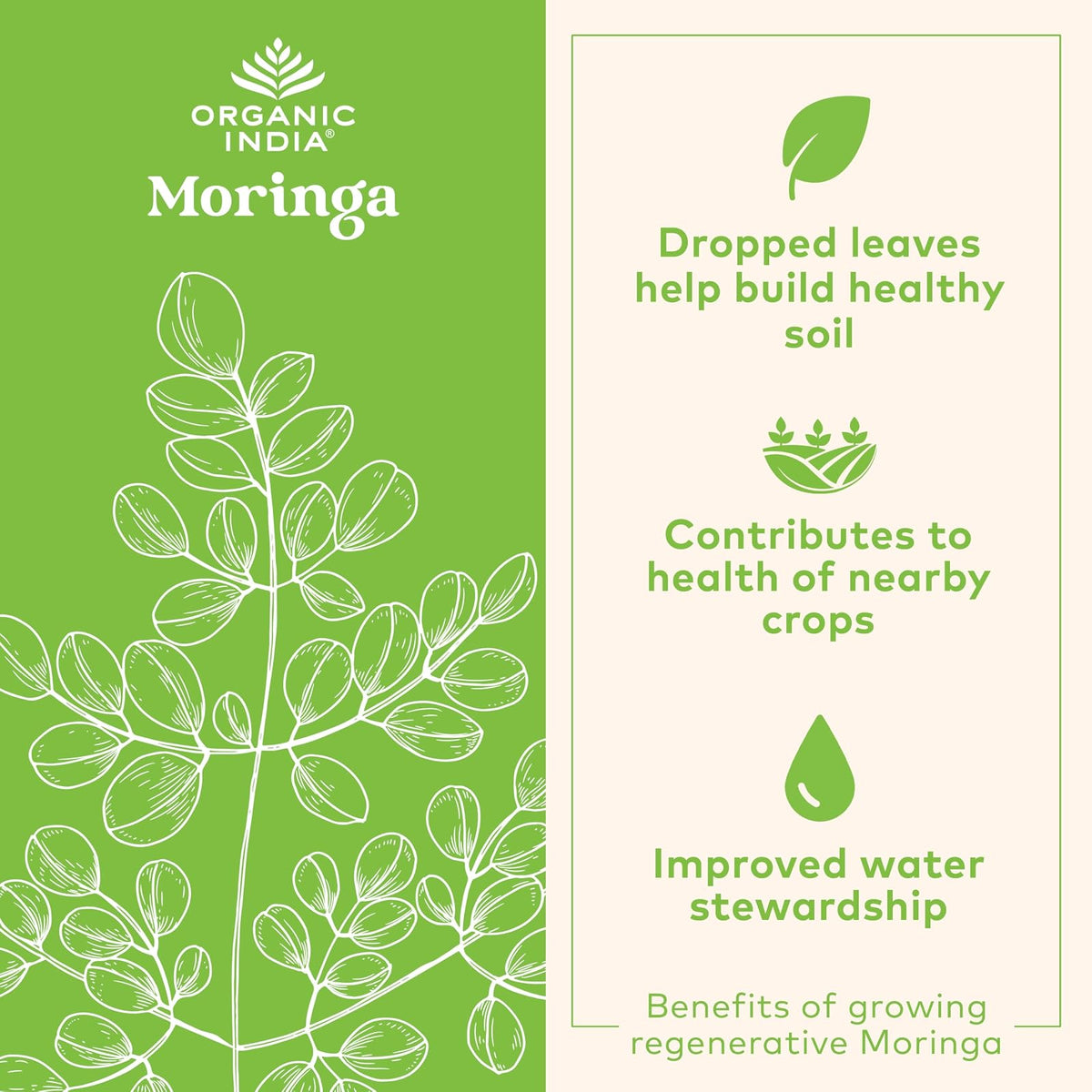 delicious moringa gummies for kids