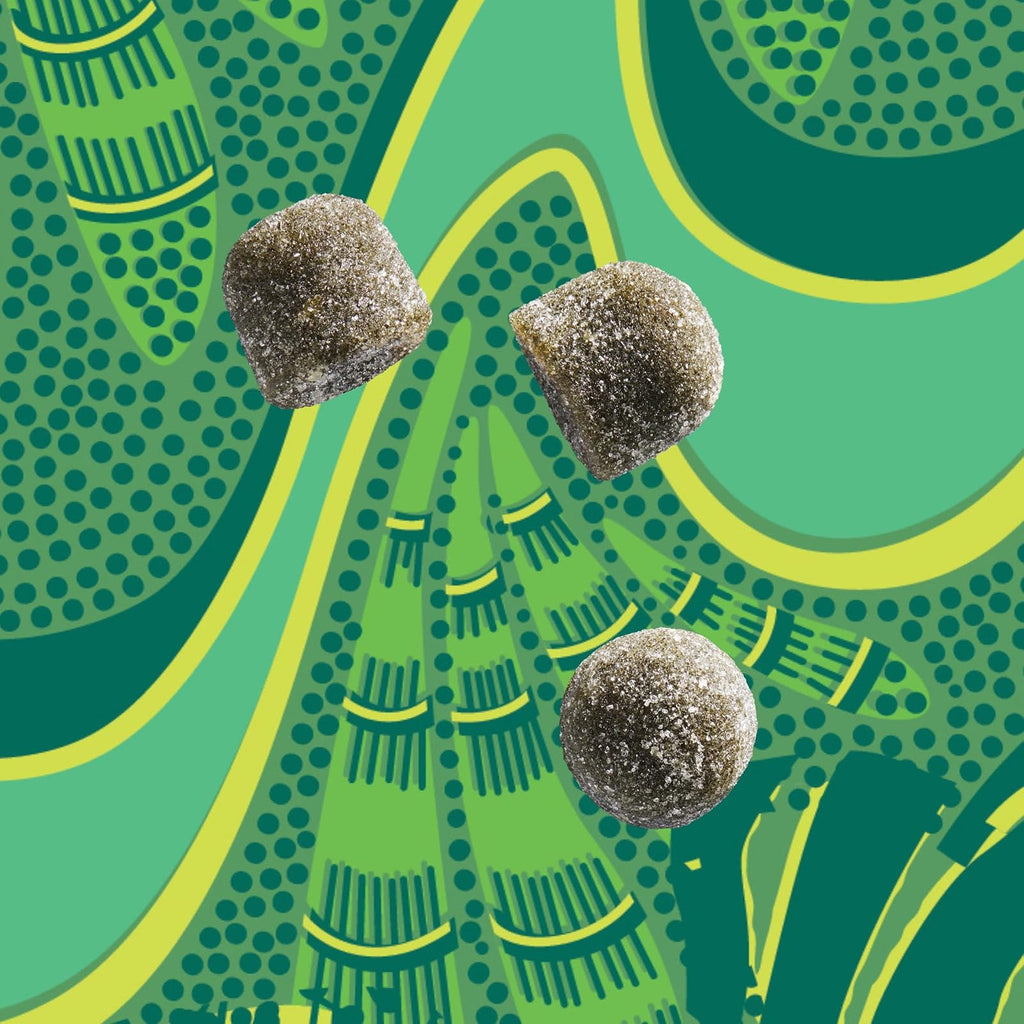 delicious moringa gummies for wellness