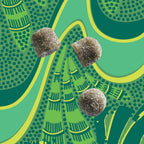 delicious moringa gummies for wellness