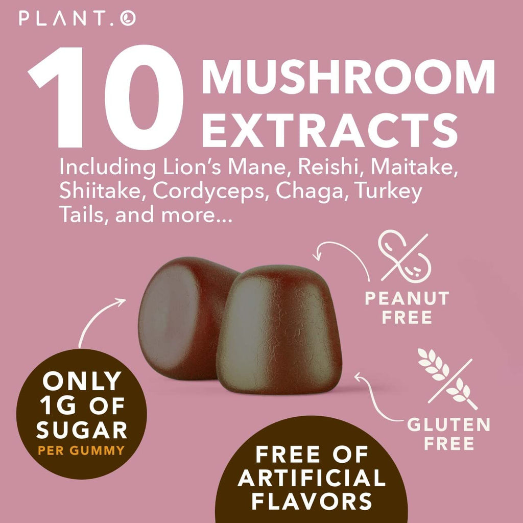 Delicious mushroom chews for wellness