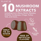 Delicious mushroom chews for wellness
