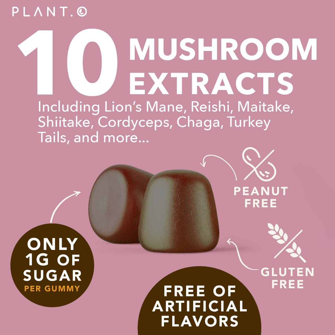 Delicious mushroom chews for wellness