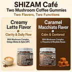 Delicious mushroom coffee supplements