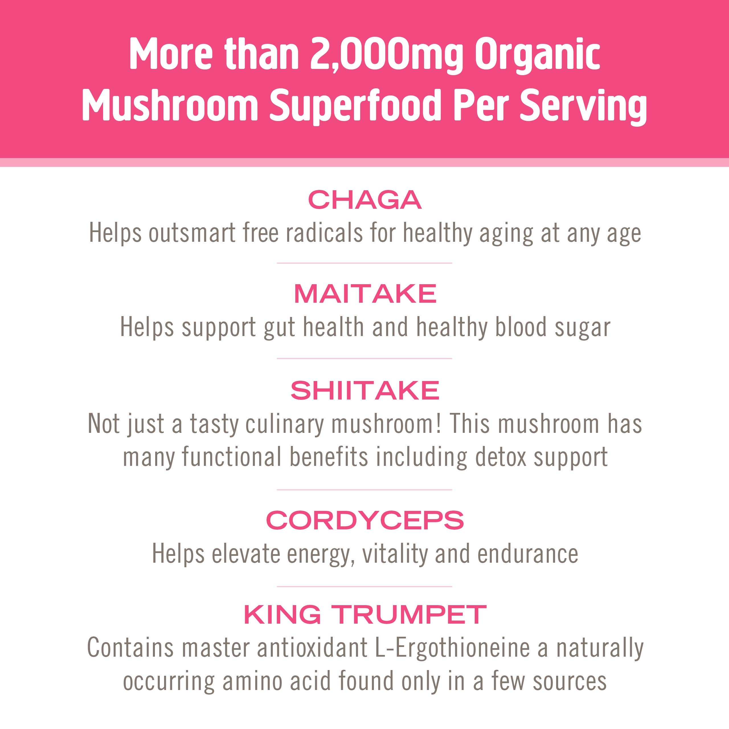 delicious mushroom drink for wellness