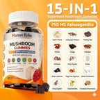 delicious mushroom gummies for daily health
