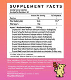 Delicious mushroom gummies for daily health
