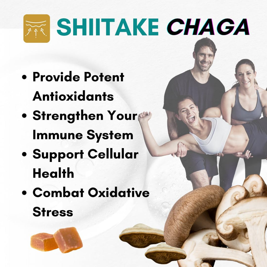 delicious mushroom gummies for daily use
