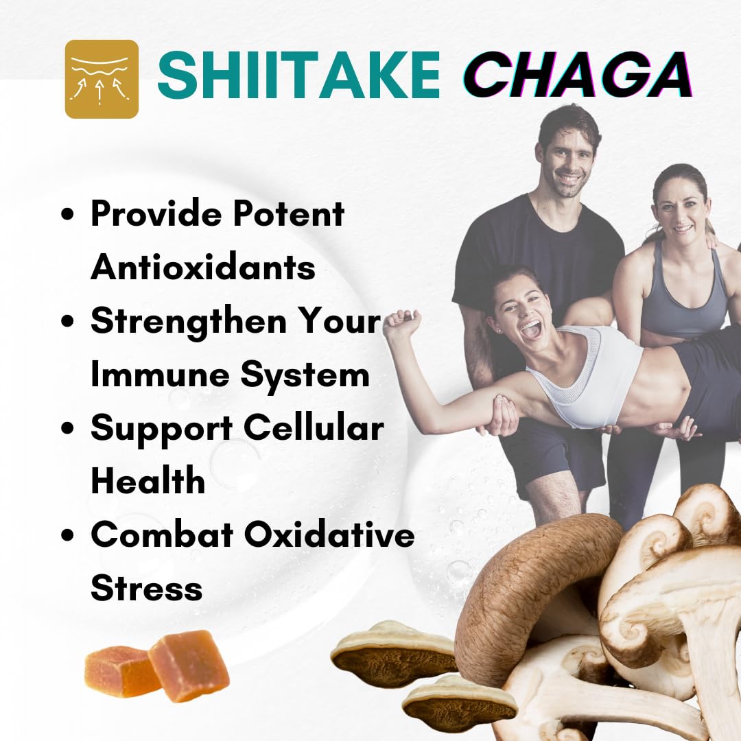 delicious mushroom gummies for daily use