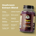 delicious mushroom gummies for energy