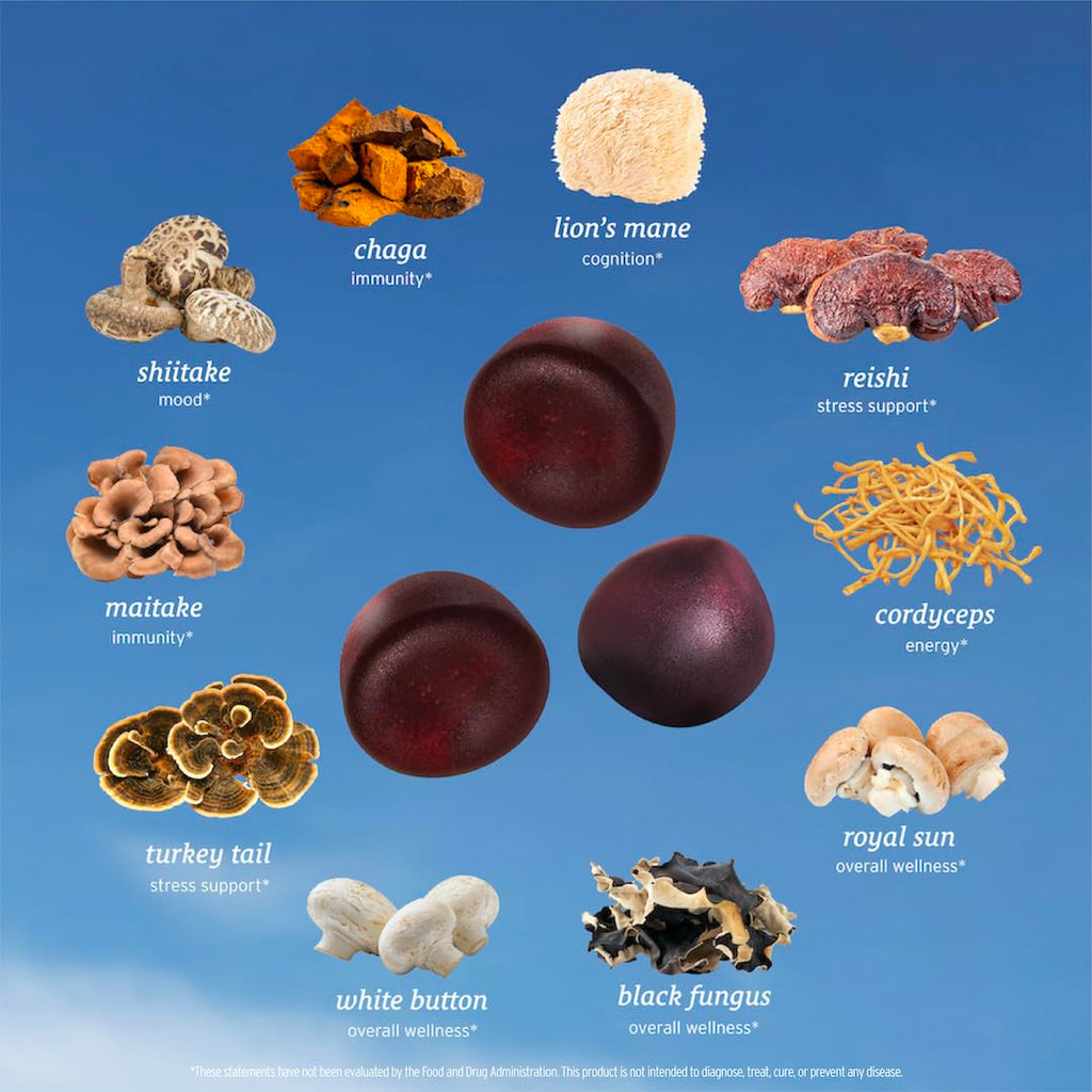 delicious mushroom gummies for health