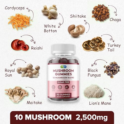 delicious mushroom gummies for healthy living
