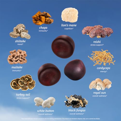 Delicious mushroom gummies for immunity