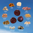 Delicious mushroom gummies for immunity