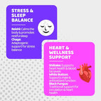 delicious mushroom gummies for wellness