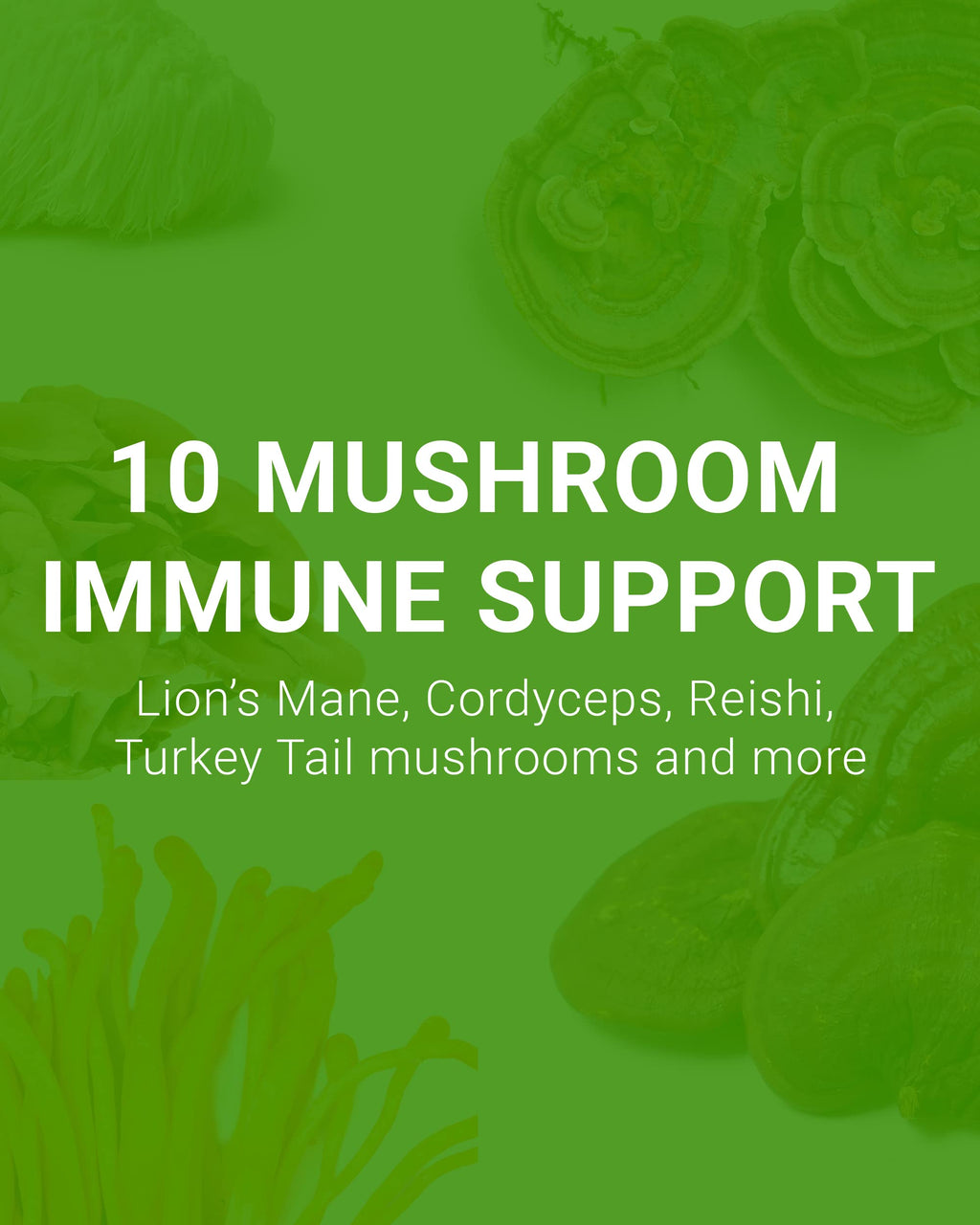 delicious mushroom gummies for wellness